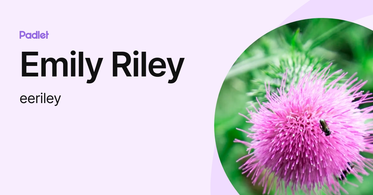 Emily Riley (eeriley) profile | Padlet
