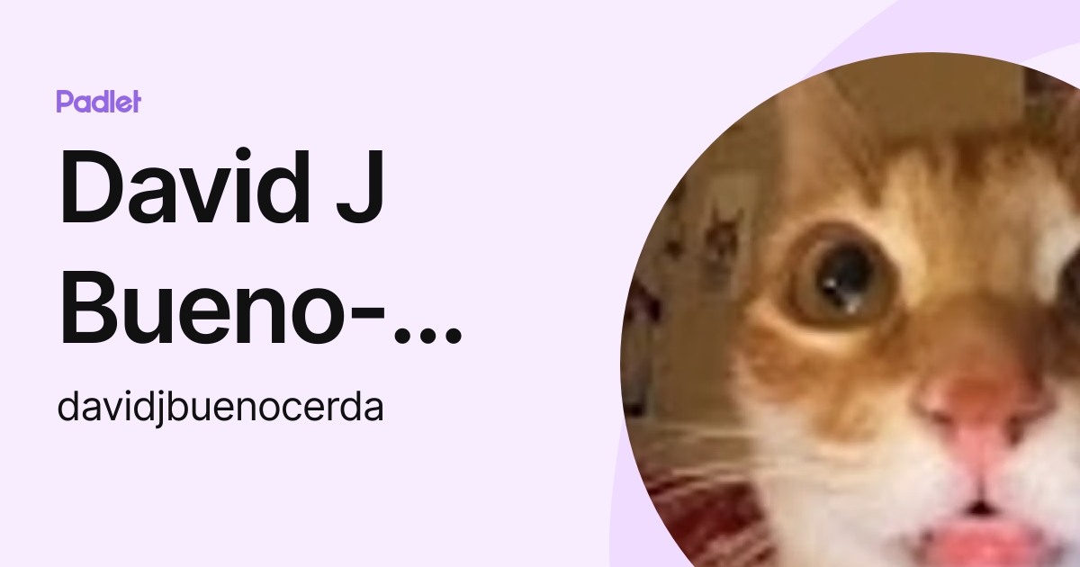 David J Bueno-cerda (davidjbuenocerda) profile | Padlet