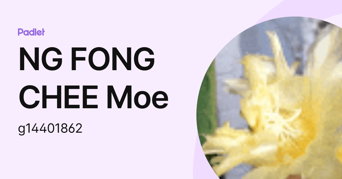NG FONG CHEE Moe (g14401862) profile | Padlet