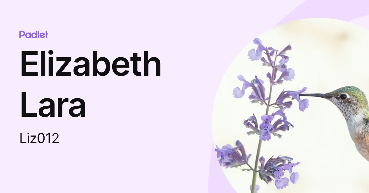 Elizabeth Lara (Liz012) profile | Padlet