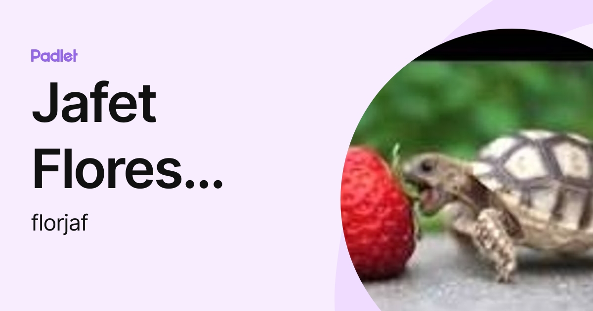 Jafet Flores Torres (florjaf) profile | Padlet