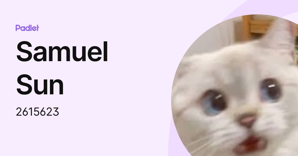 Samuel Sun (2615623) profile | Padlet