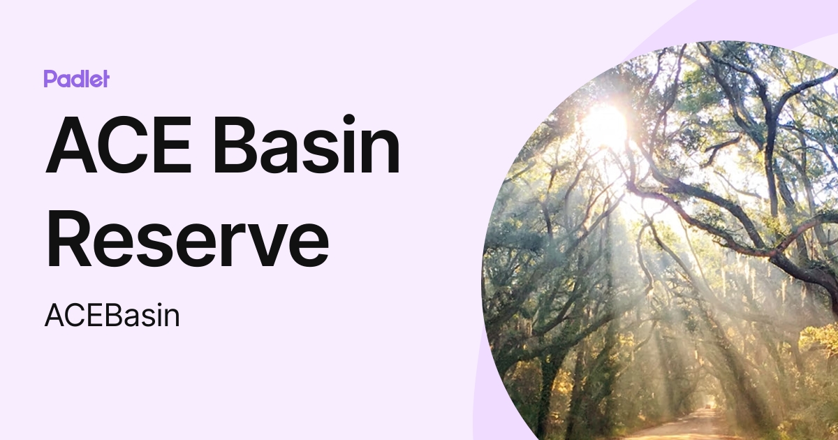 ACE Basin Reserve (ACEBasin) profile | Padlet