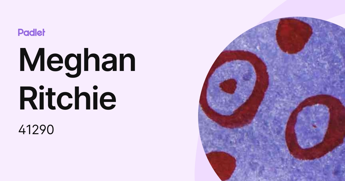 Meghan Ritchie (41290) profile | Padlet