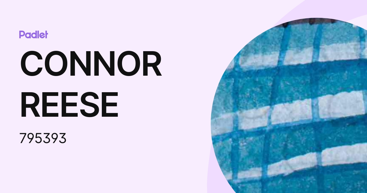 CONNOR REESE (795393) profile | Padlet