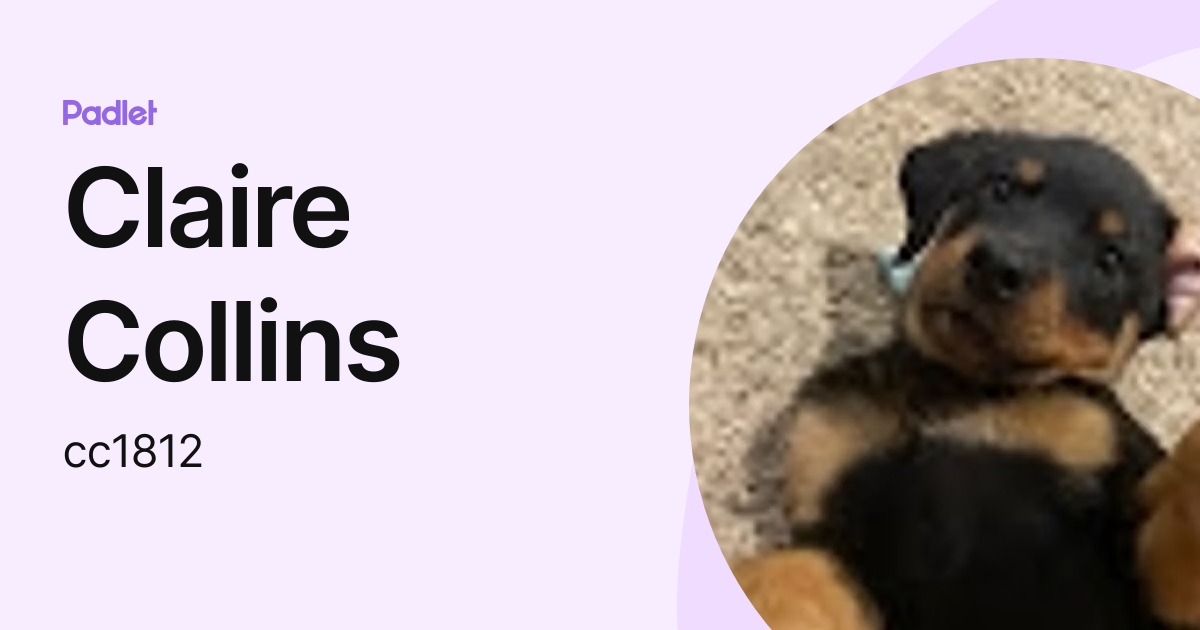 Claire Collins (cc1812) profile | Padlet