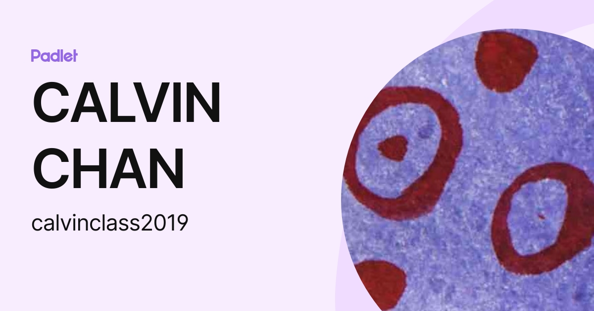 CALVIN CHAN (calvinclass2019) profile | Padlet