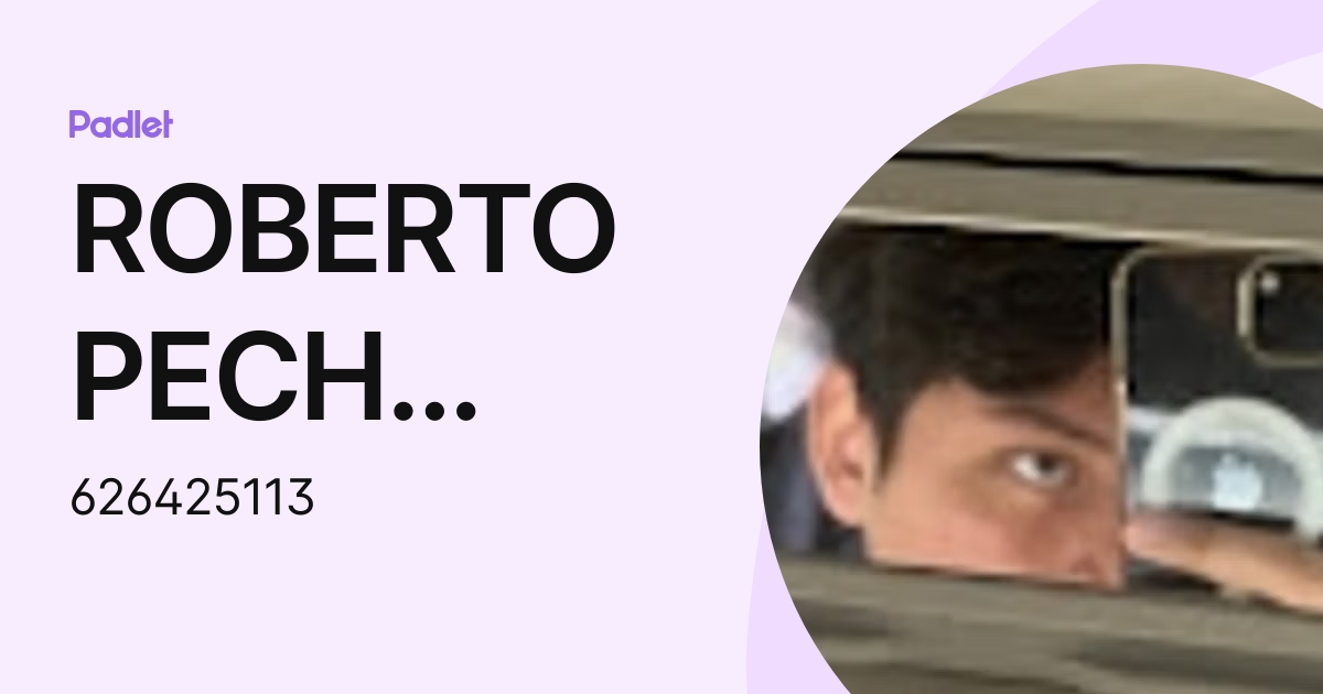ROBERTO PECH CHAN (626425113) profile | Padlet