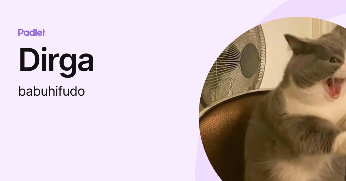 Dirga (babuhifudo) profile | Padlet