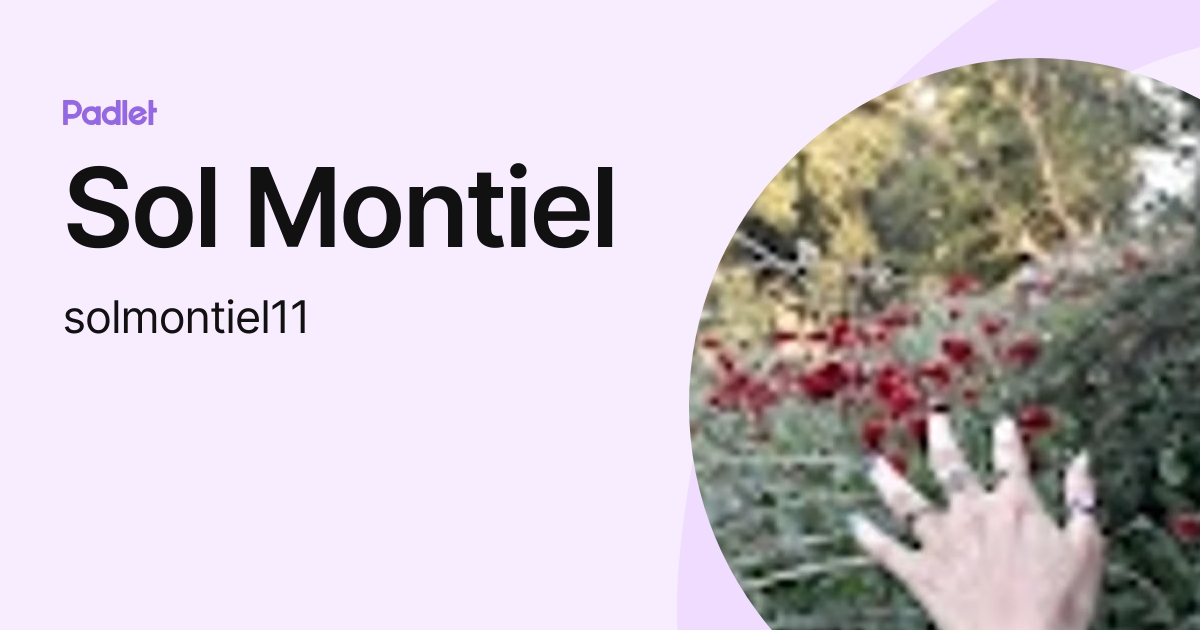 Sol Montiel (solmontiel11) profile | Padlet