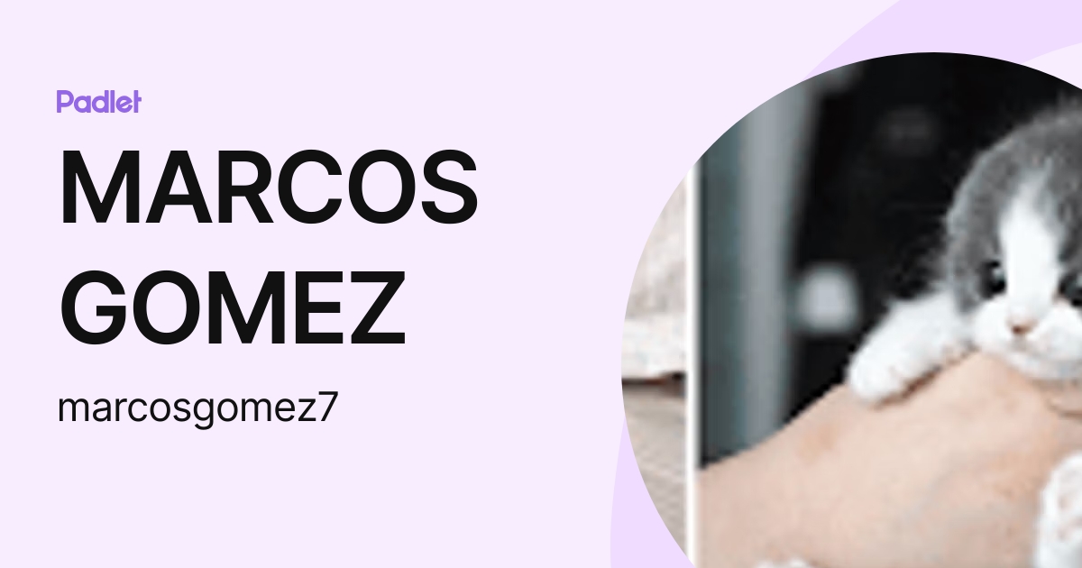 MARCOS GOMEZ (marcosgomez7) profile | Padlet