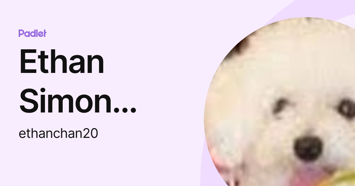 Ethan Simon Chan (ethanchan20) profile | Padlet