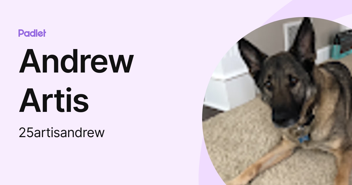Andrew Artis (25artisandrew) profile | Padlet