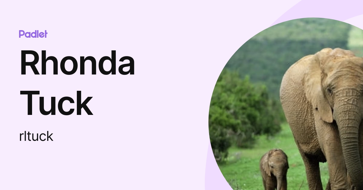 Rhonda Tuck (rltuck) profile | Padlet