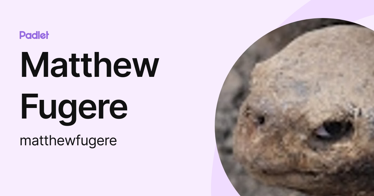 Matthew Fugere (matthewfugere) profile | Padlet