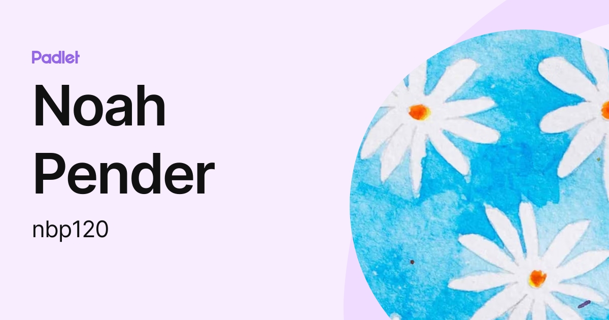 Noah Pender (nbp120) profile | Padlet