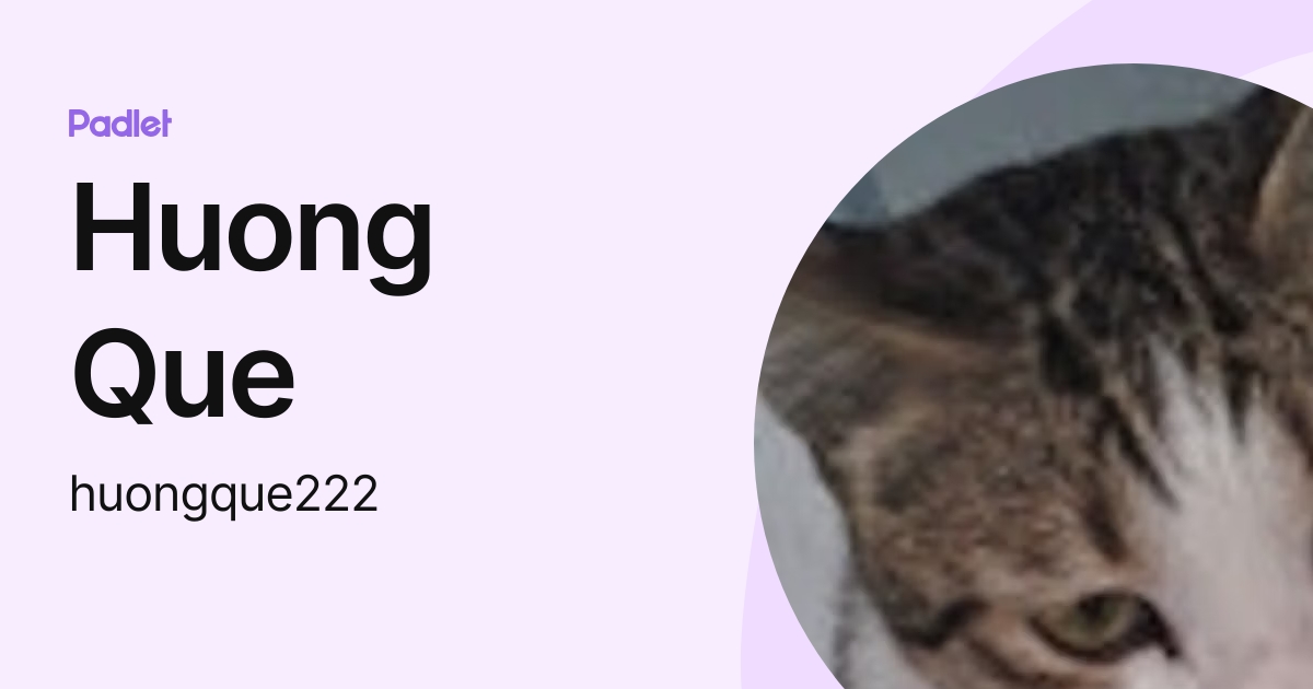 Huong Que (huongque222) profile | Padlet