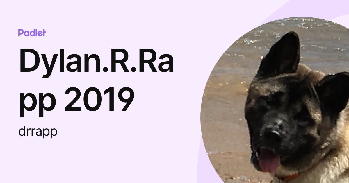 Dylan.R.Rapp 2019 (drrapp) profile | Padlet