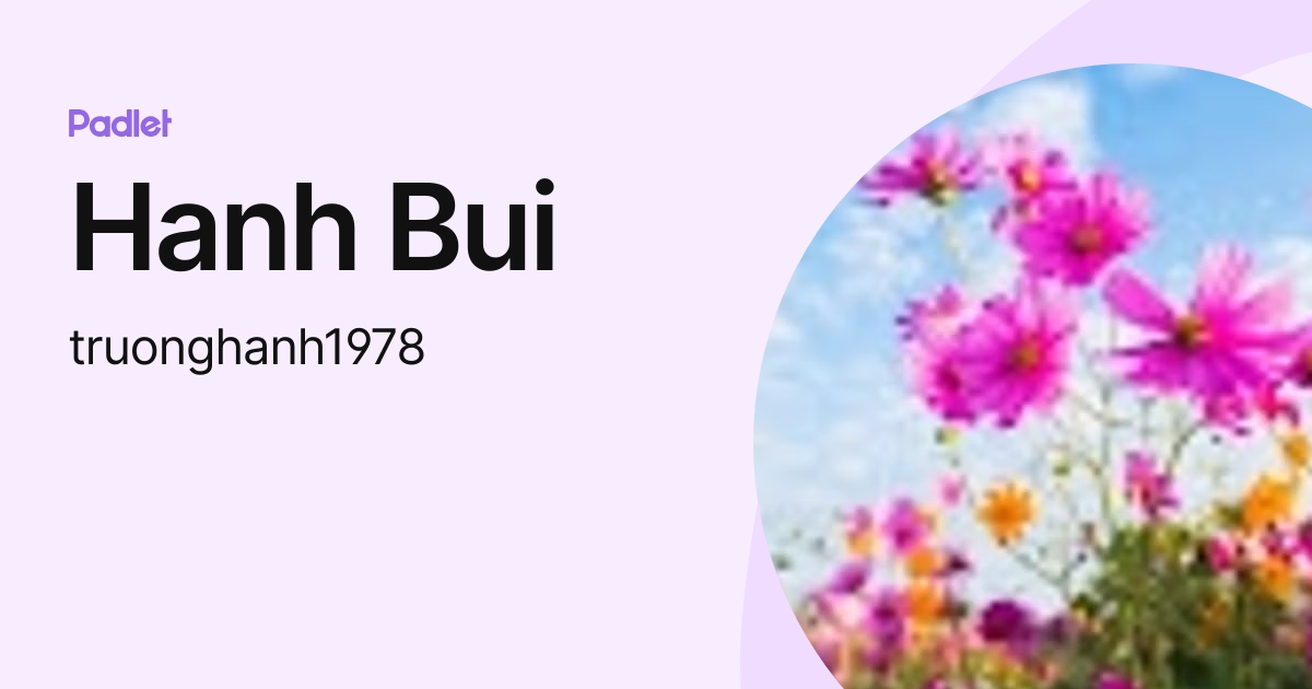 Hanh Bui (truonghanh1978) profile | Padlet