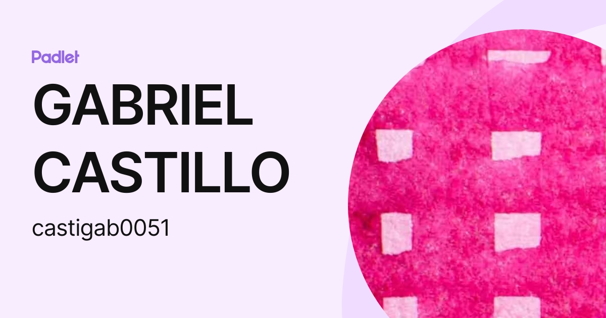 GABRIEL CASTILLO (castigab0051) profile | Padlet