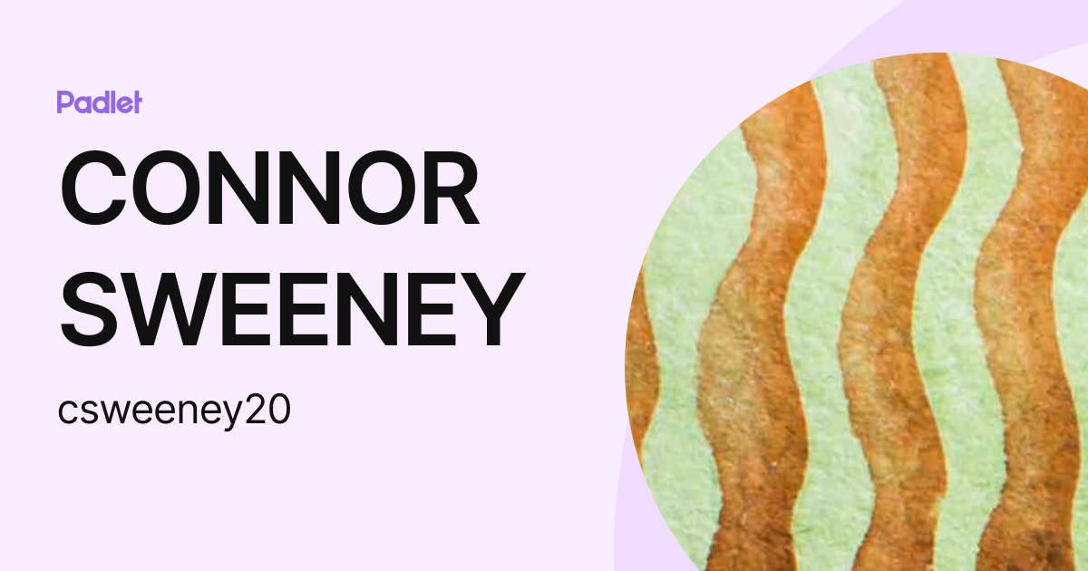 CONNOR SWEENEY (csweeney20) profile | Padlet