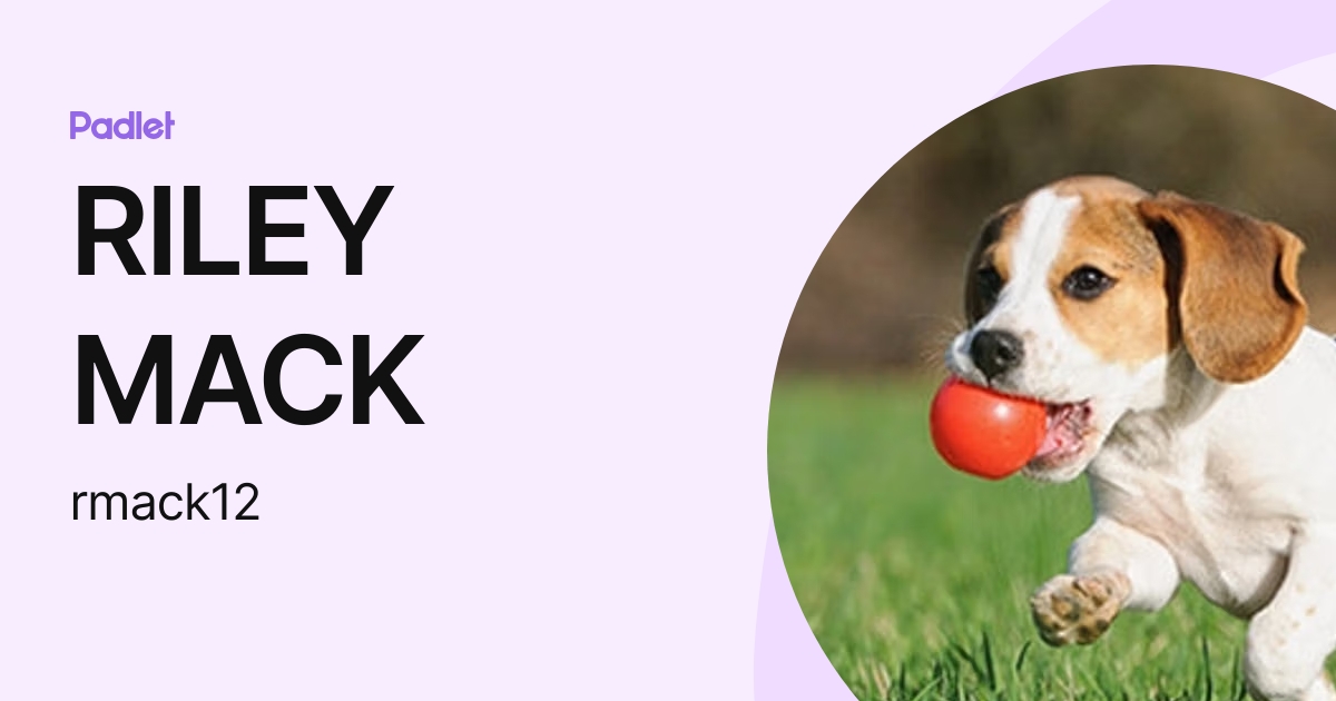 RILEY MACK (rmack12) profile | Padlet