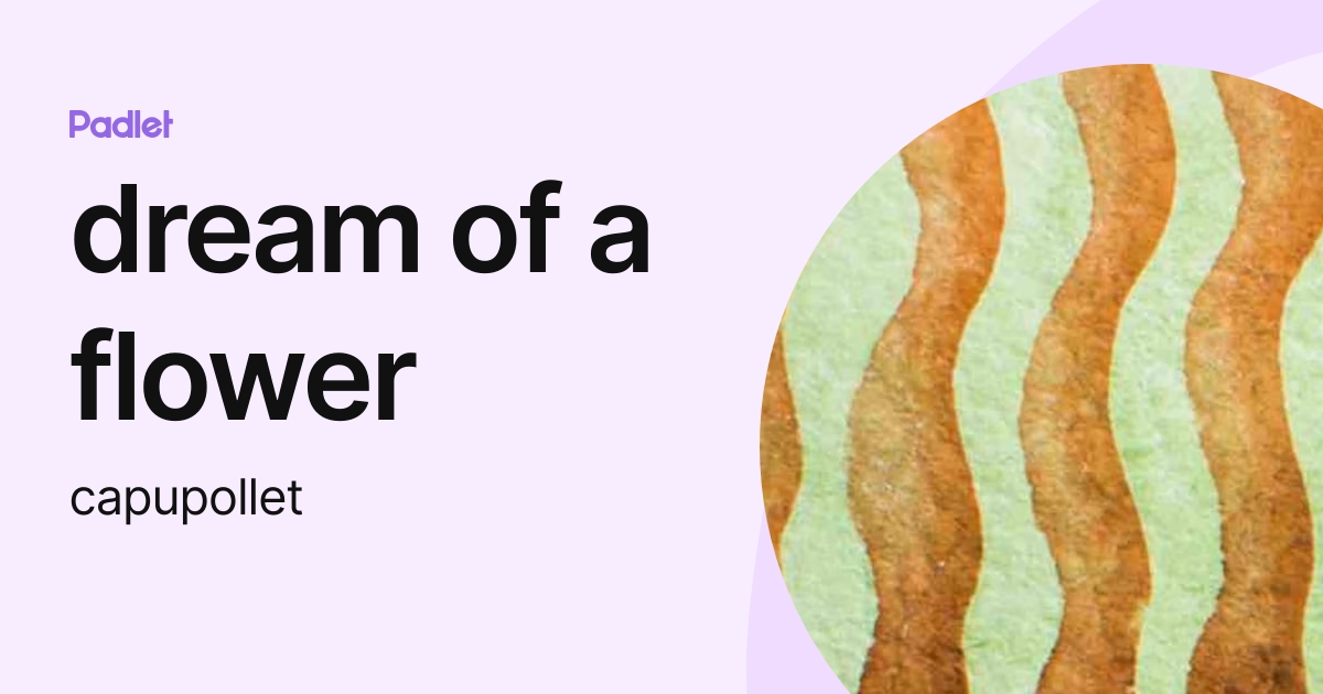 dream of a flower (capupollet) profile | Padlet