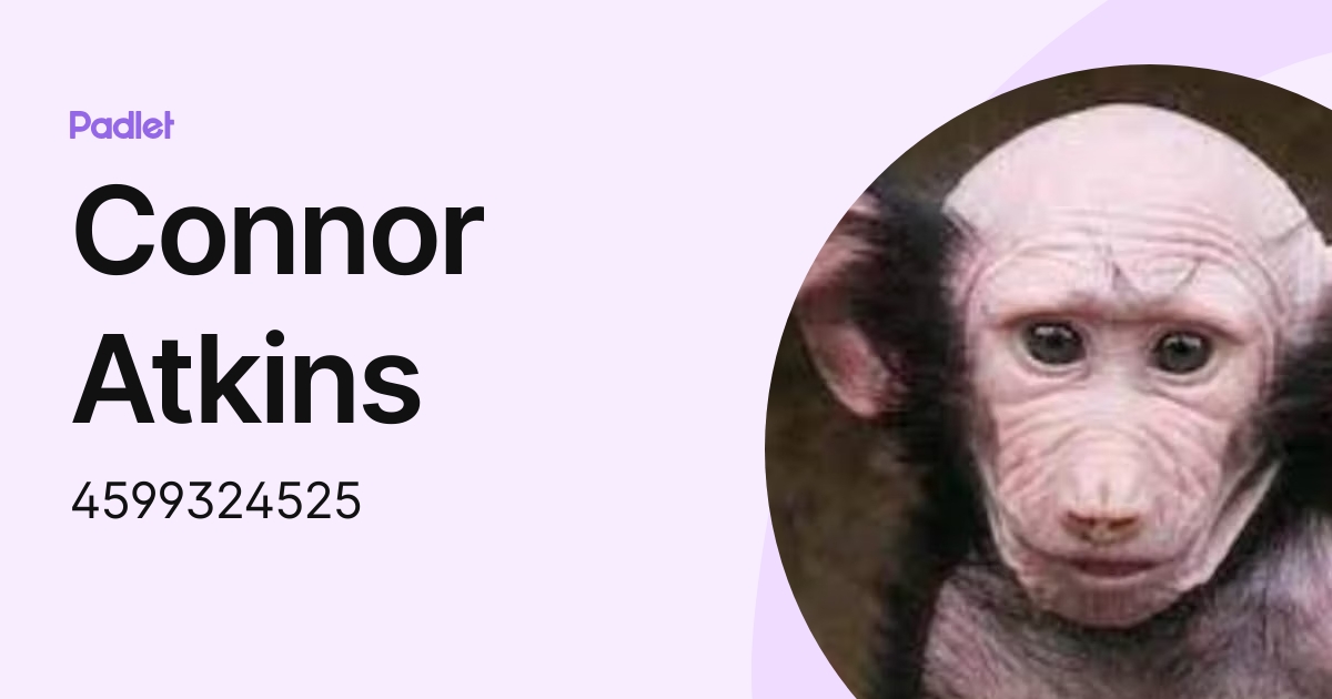 Connor Atkins (4599324525) profile | Padlet