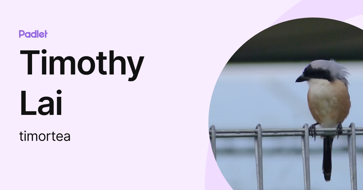 Timothy Lai (timortea) profile | Padlet