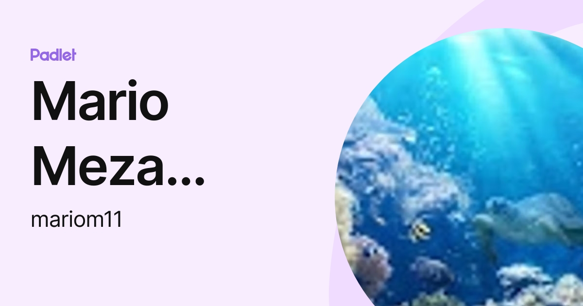 Mario Meza Gonzalez (mariom11) profile | Padlet