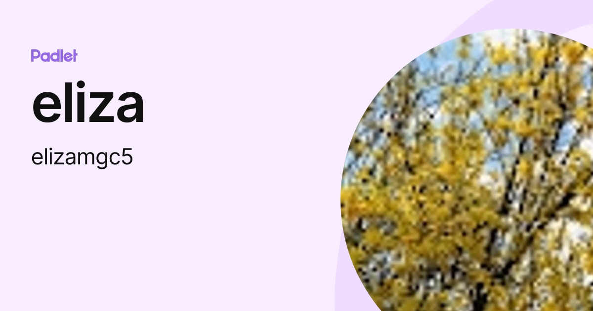 eliza (elizamgc5) profile | Padlet