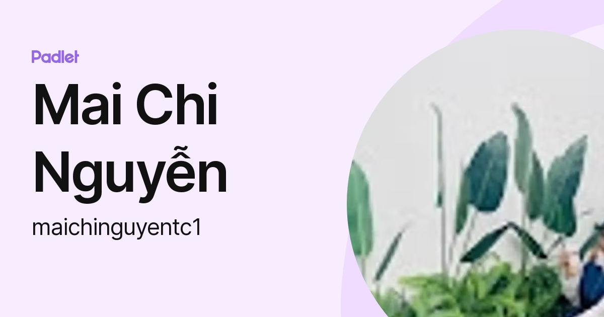 Mai Chi Nguyễn (maichinguyentc1) profile | Padlet