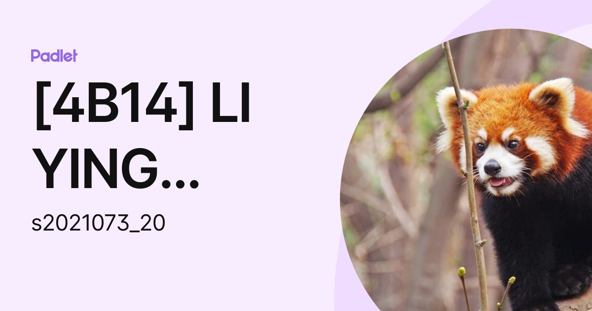 [4B14] LI YING SHAN 黎映山 (s20210731) profile | Padlet