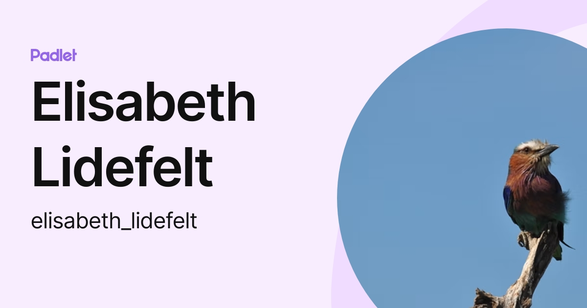 Elisabeth Lidefelt (elisabeth_lidefelt) profile | Padlet