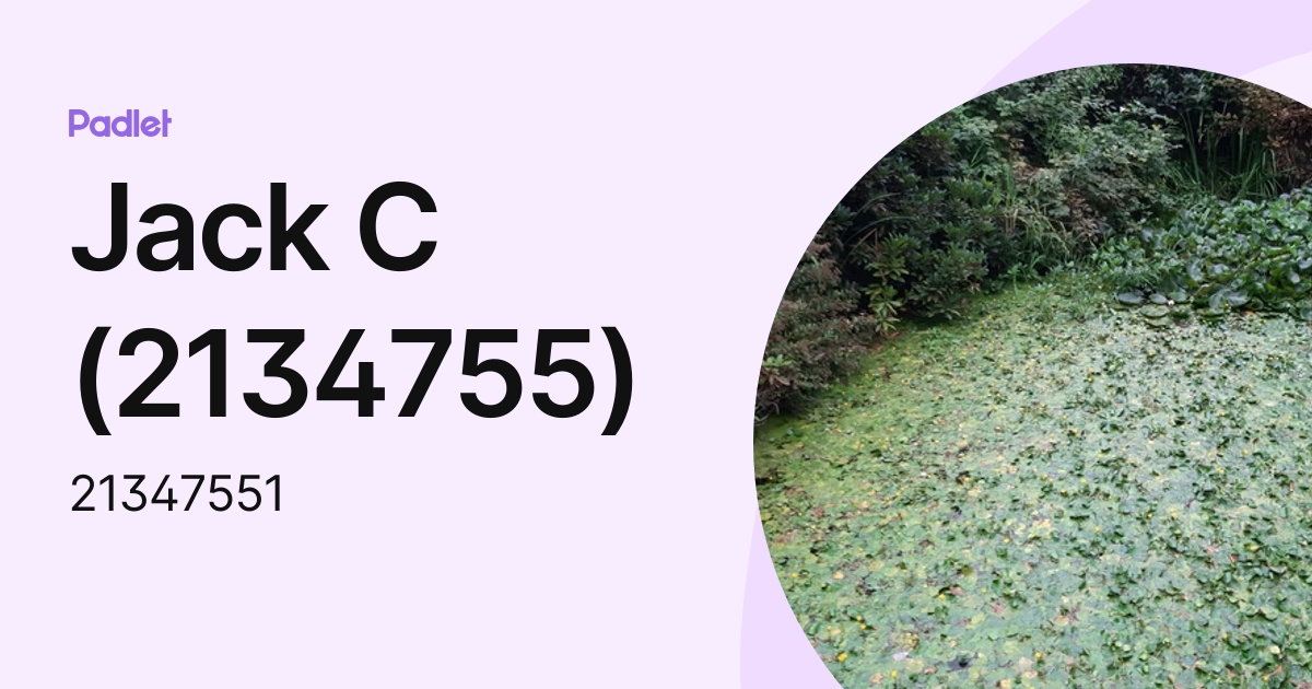 Jack C (2134755) (21347551) profile | Padlet