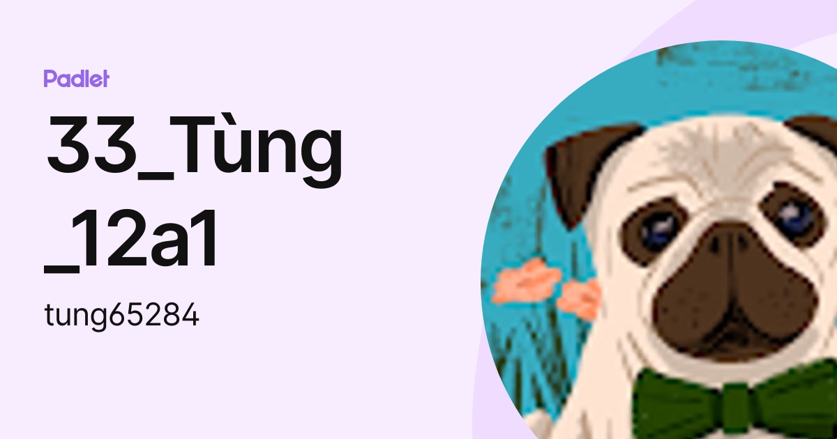 33_Tùng _12a1 (tung65284) profile | Padlet