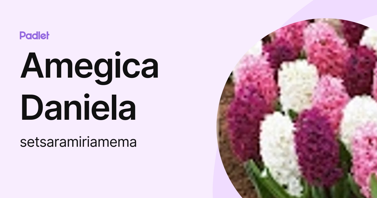 Amegica Daniela (setsaramiriamema) profile | Padlet