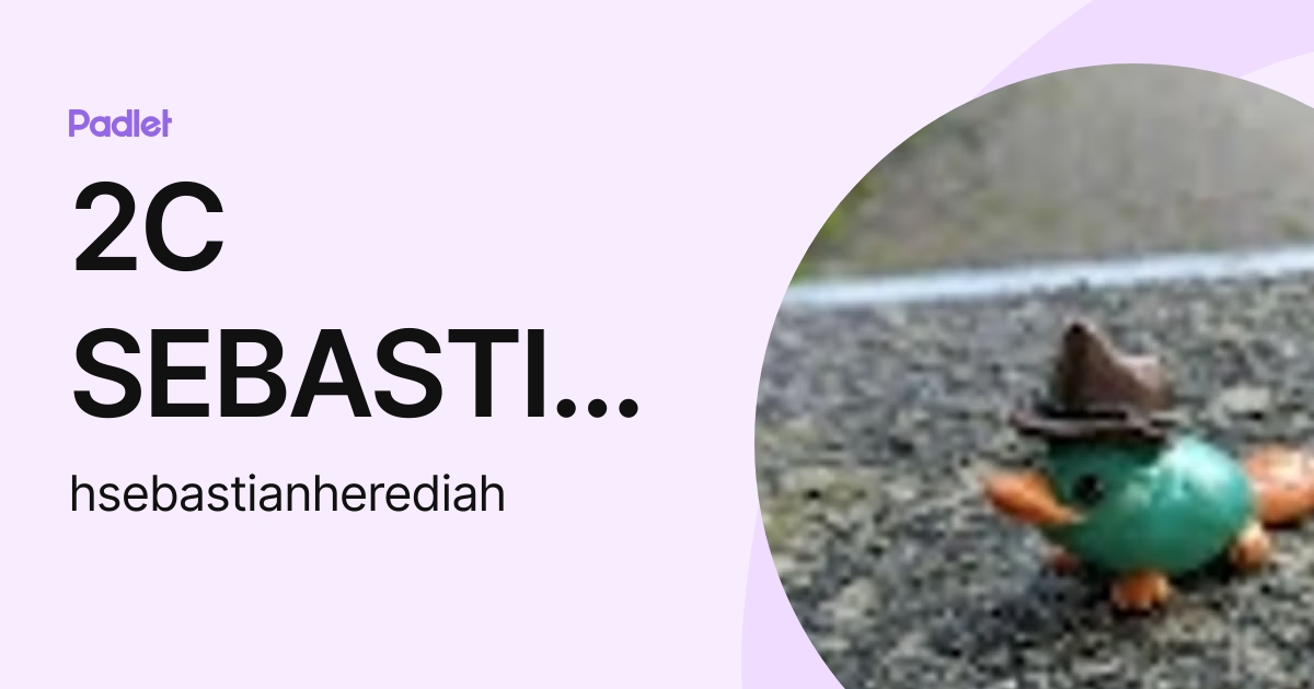 2C SEBASTIÁN HEREDIA (hsebastianherediah) profile | Padlet