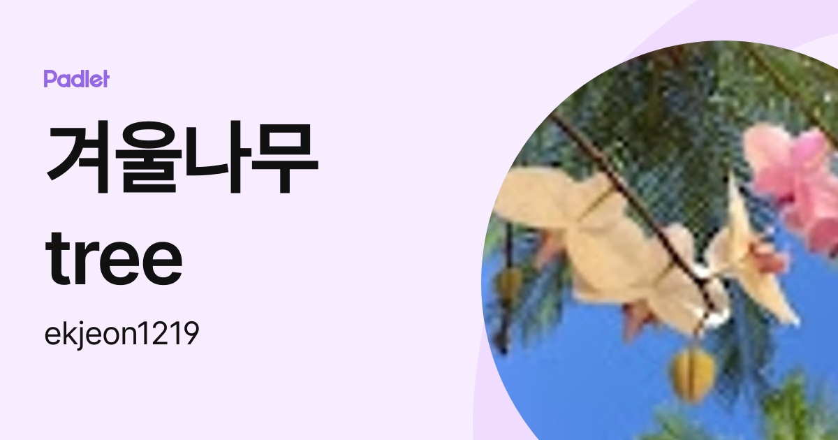 겨울나무tree (ekjeon1219) profile | Padlet