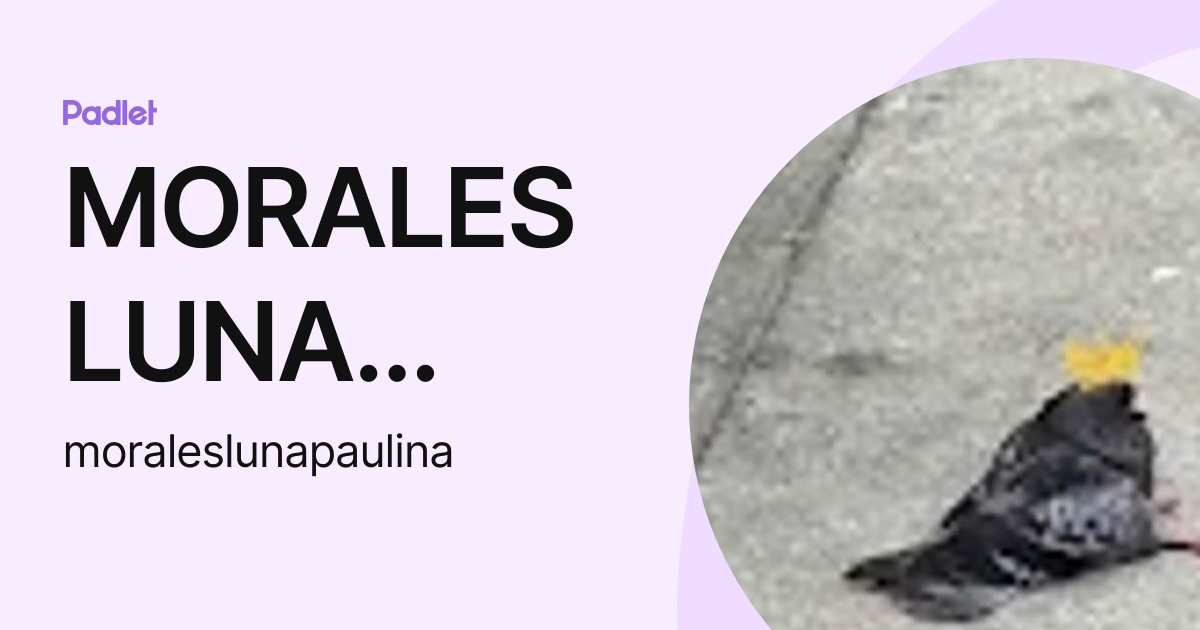 MORALES LUNA PAULINA ISABEL (moraleslunapaulina) profile | Padlet