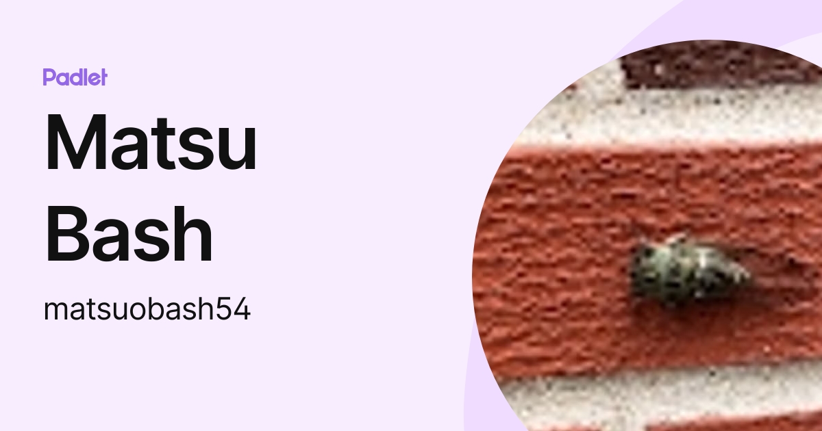 Matsu Bash (matsuobash54) profile | Padlet