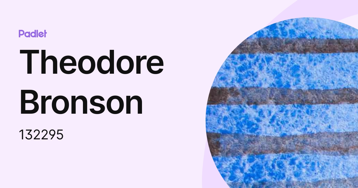 Theodore Bronson (132295) profile | Padlet