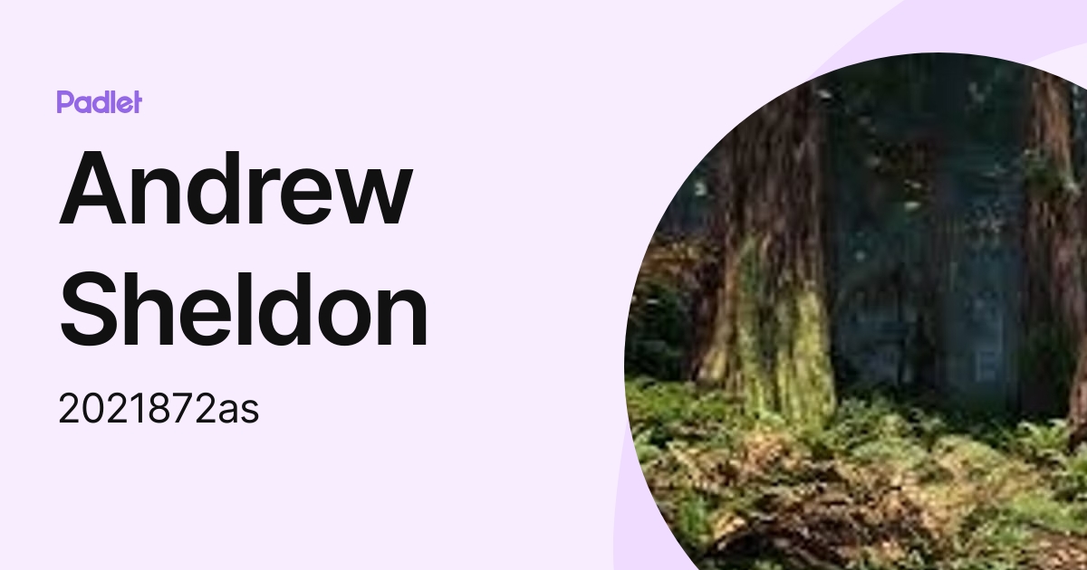 Andrew Sheldon (2021872as) profile | Padlet