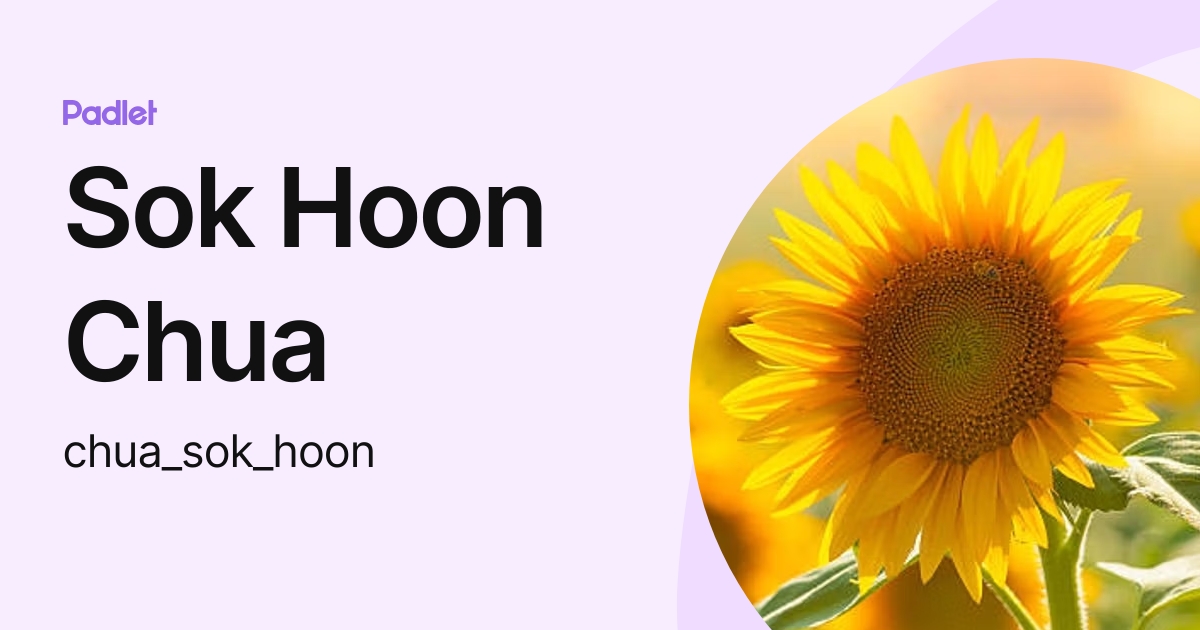 Sok Hoon Chua (chua_sok_hoon) profile | Padlet