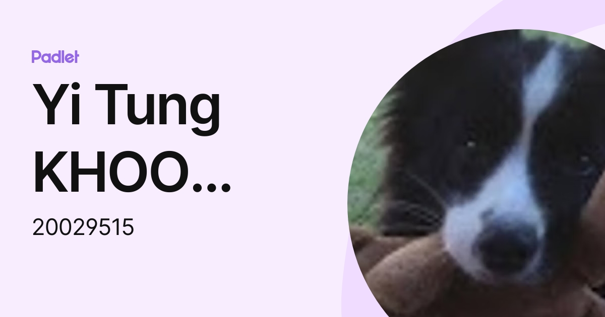 Yi Tung KHOO (G8) (20029515) profile | Padlet