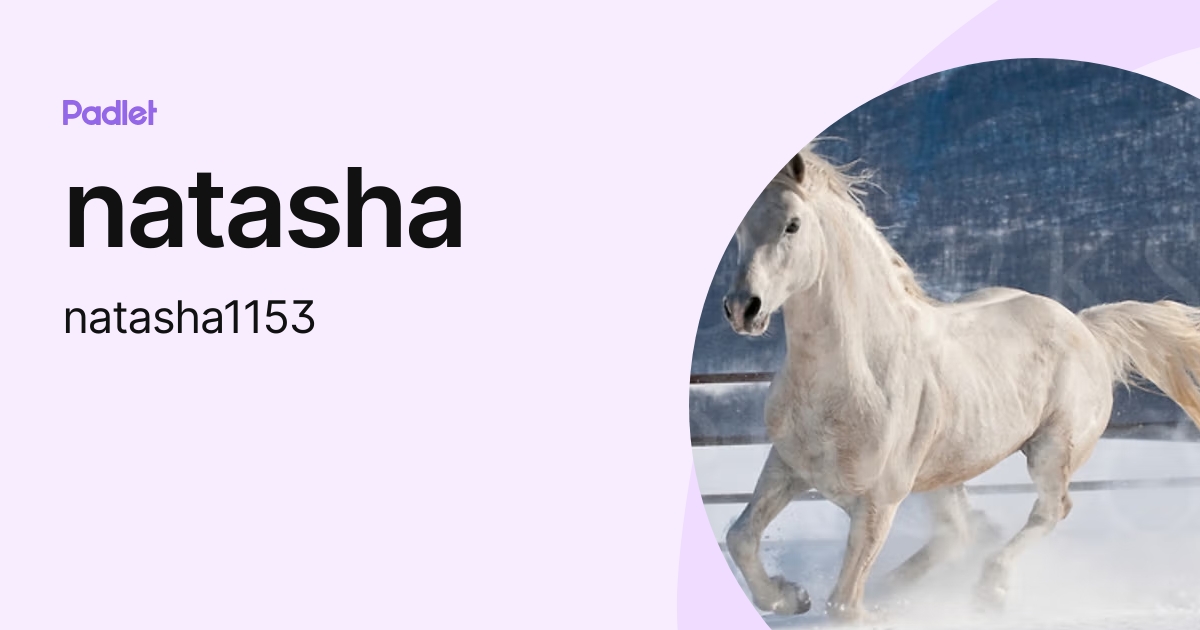natasha (natasha1153) profile | Padlet