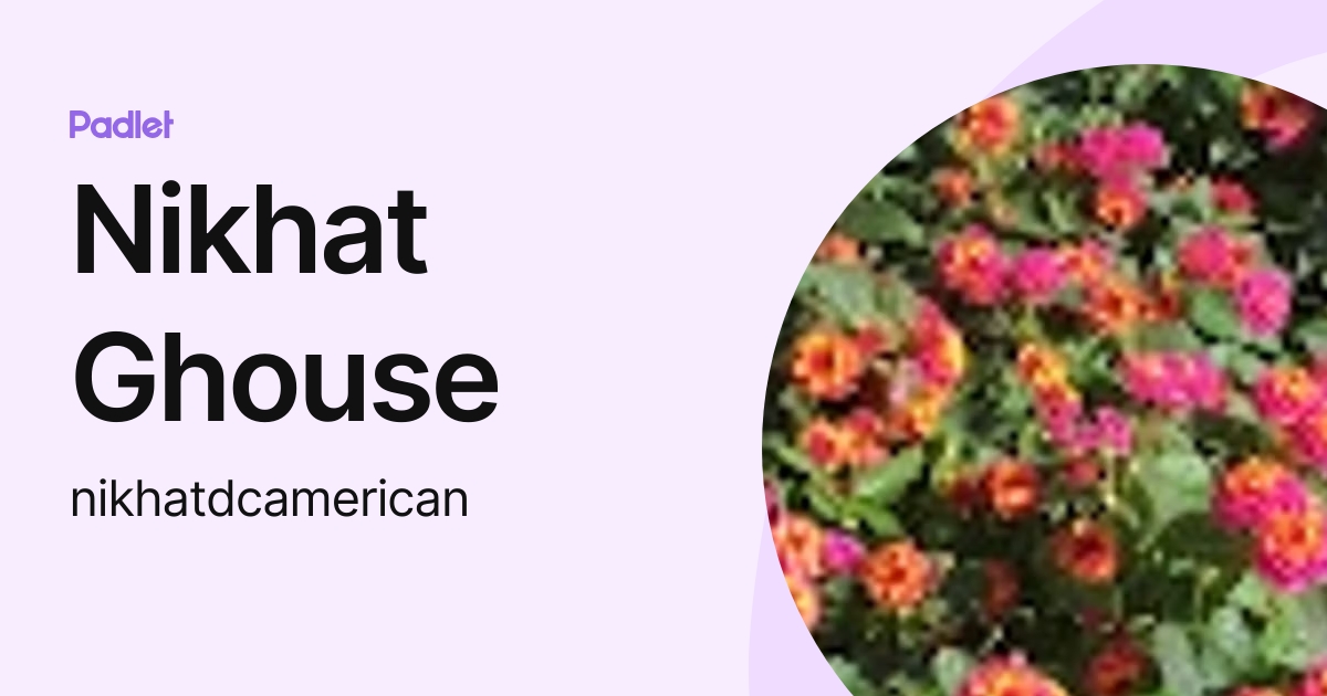 Nikhat Ghouse (nikhatdcamerican) profile | Padlet