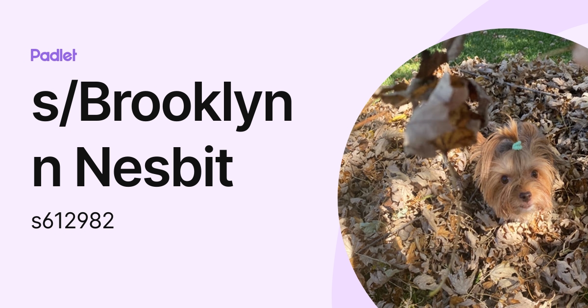 s/Brooklynn Nesbit (s612982) profile | Padlet