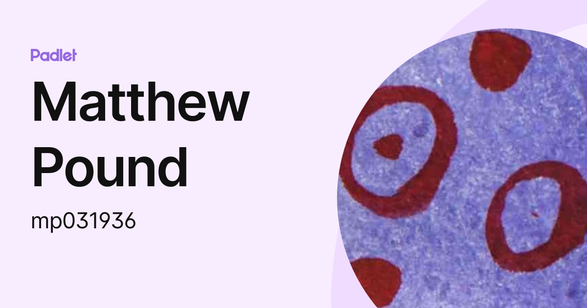 Matthew Pound (mp031936) profile | Padlet