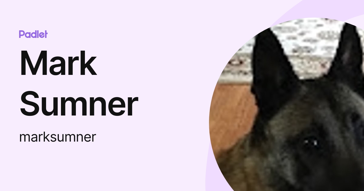 Mark Sumner (marksumner) profile | Padlet